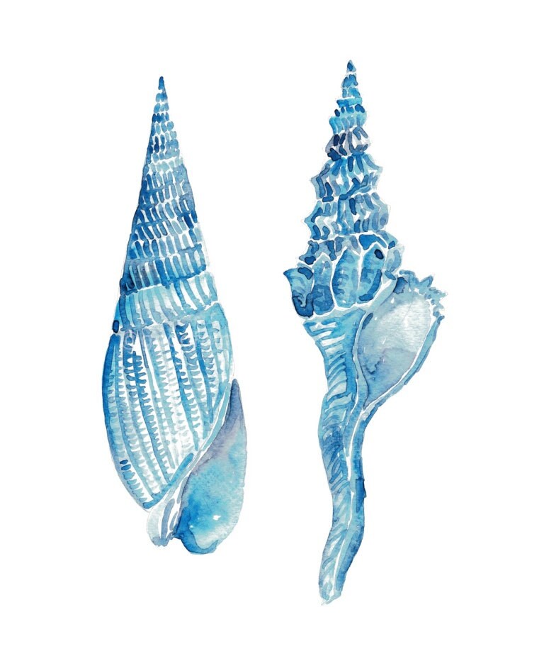 Set of 3 Sea Shell Watercolor Painting Print Art Whale Fish Animal ...