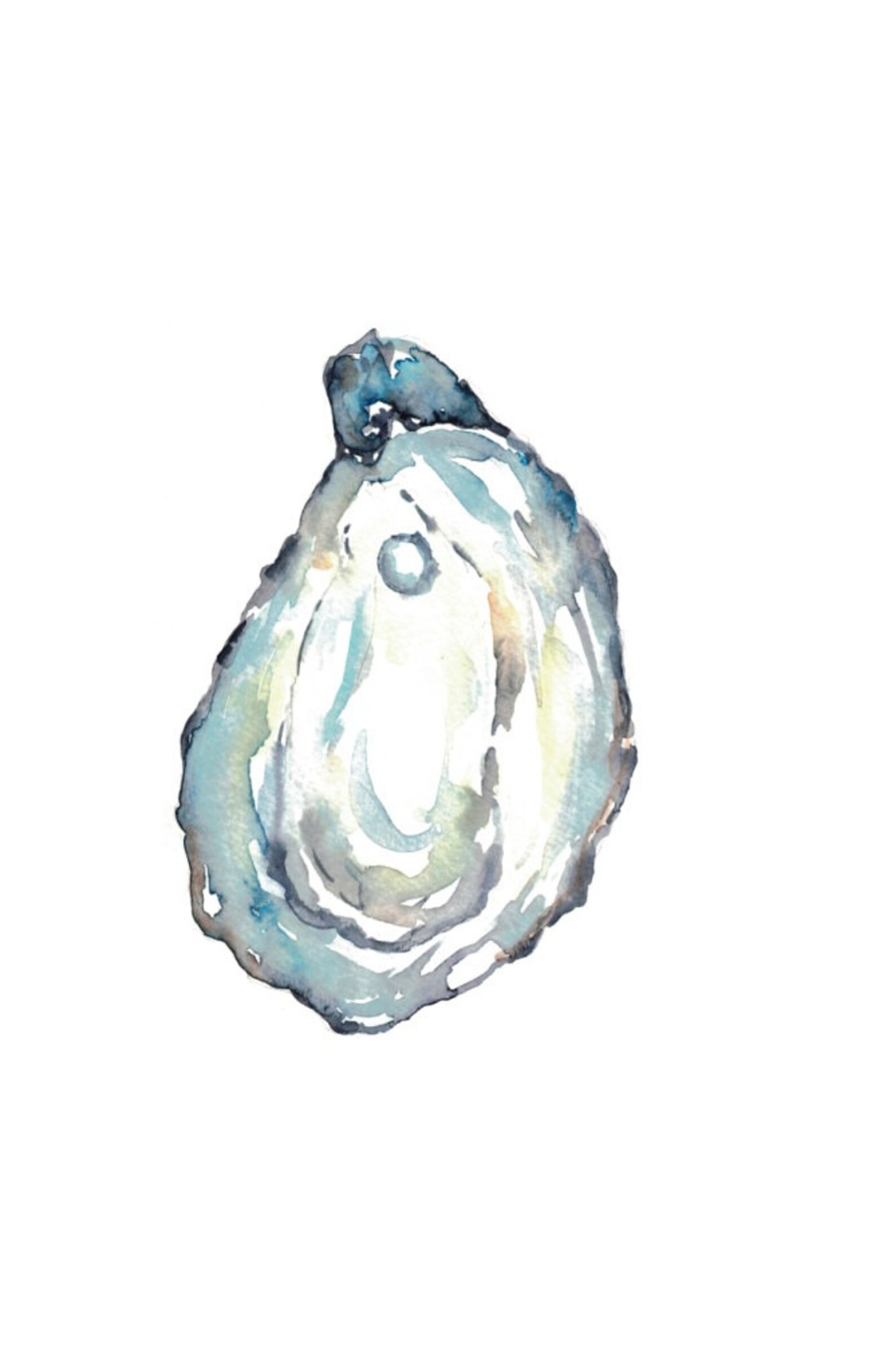 Set of 3 Oyster Pearl Shell Coastal Decor Beach Wall Art Shell Bathroom ...