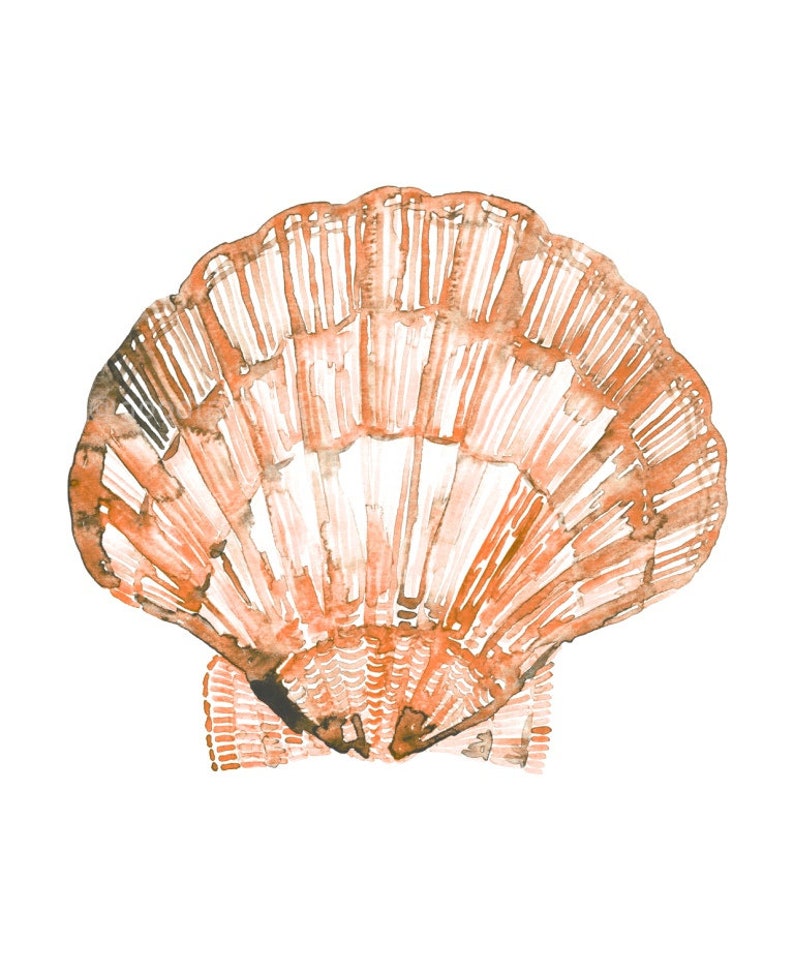 Set of 3 Sea Shell Pink Watercolor Painting Print Art Fish Animal ...
