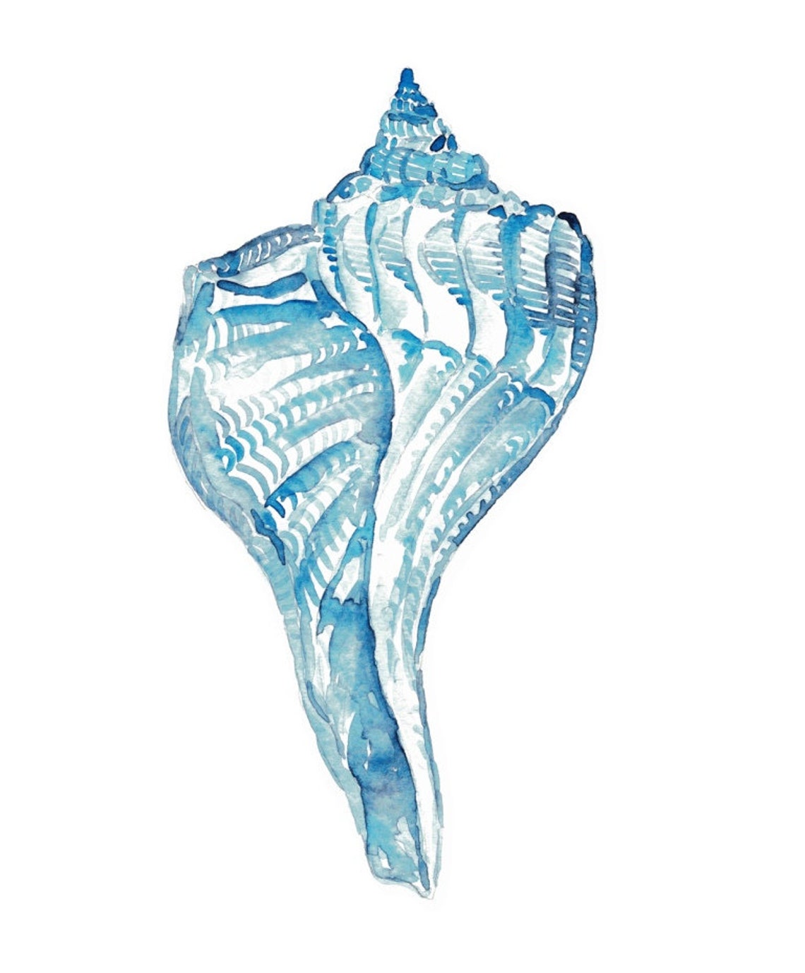 Set of 3 sea shell watercolor painting print art whale fish | Etsy