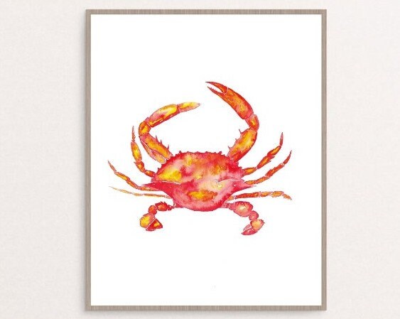 Red Crab Watercolor Painting Print Art Sea Horse Illustration | Etsy