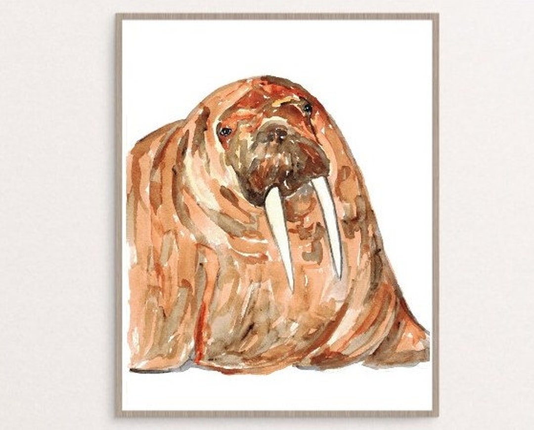 Arctic Walrus Drawing