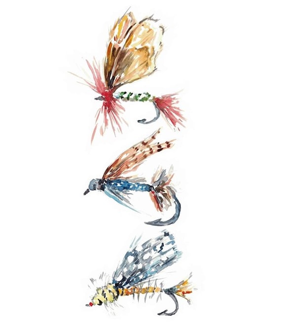 Fly Fishing Lure Drawings