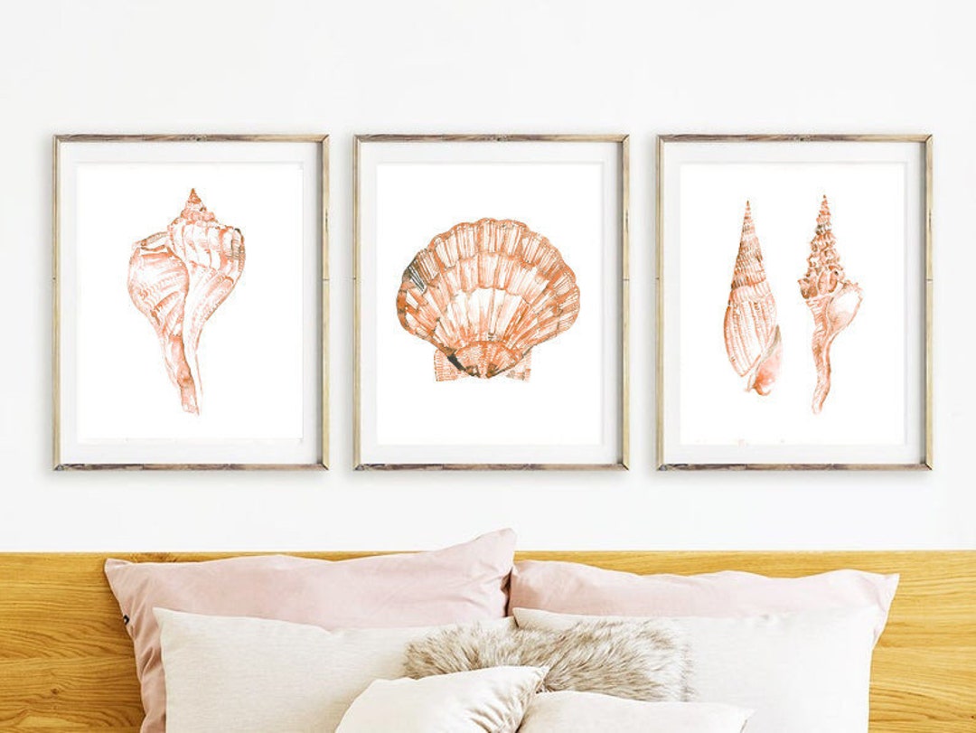 Set of 3 Sea Shell Pink Watercolor Painting Print Art Fish Animal ...