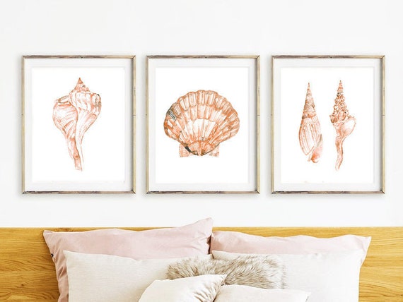 Set of 3 Sea Shell Pink Watercolor Painting Print Art Fish | Etsy