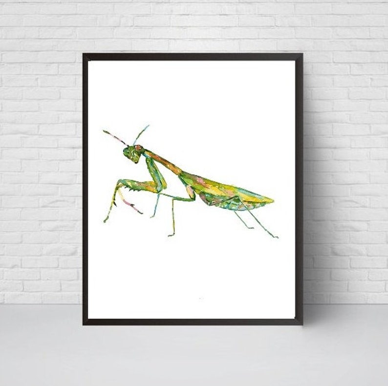 Praying Mantis Painting Watercolour Ink Iridescent Green Wall - Etsy Canada