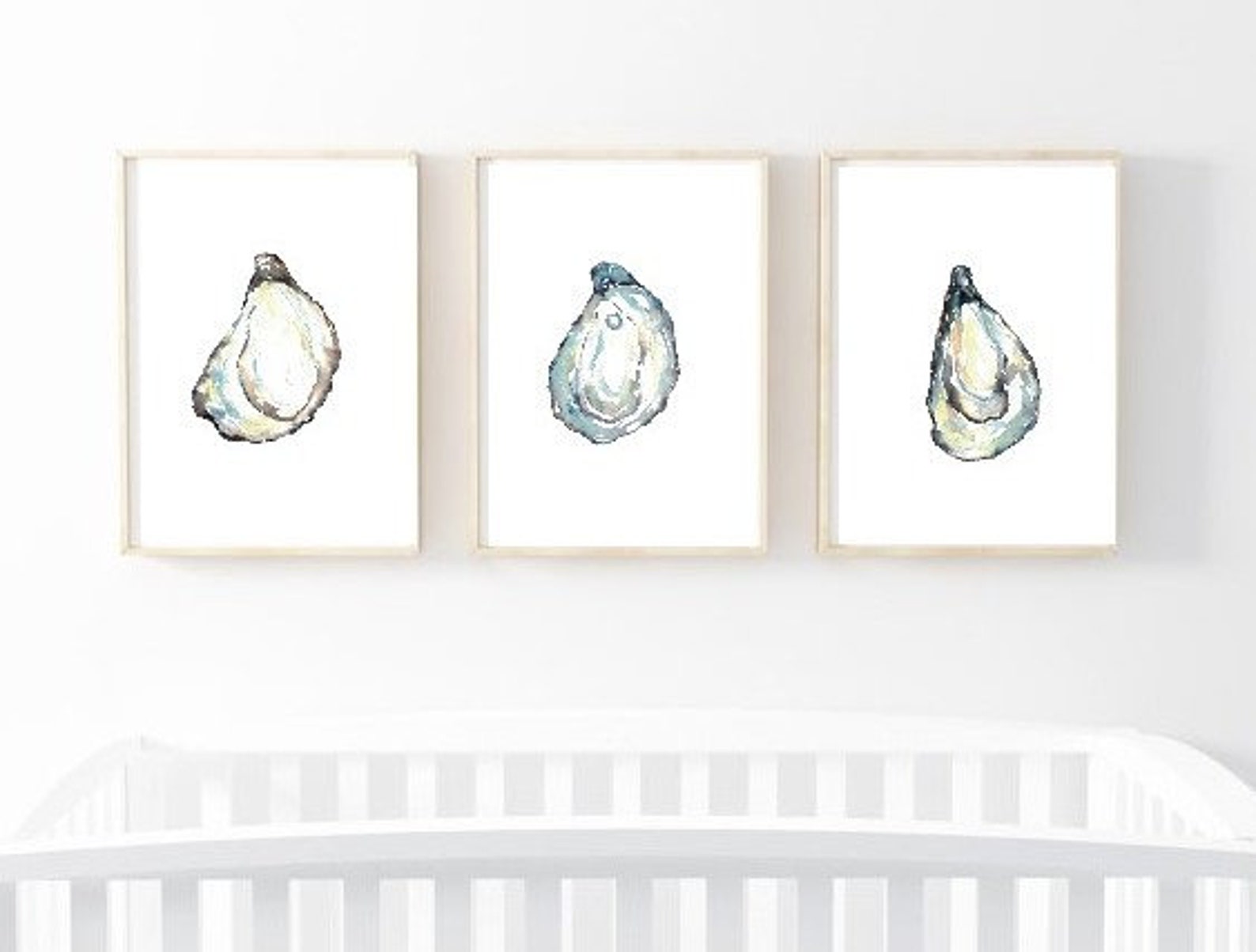 Set of 3 Oyster Pearl Shell Coastal Decor Beach Wall Art Shell - Etsy