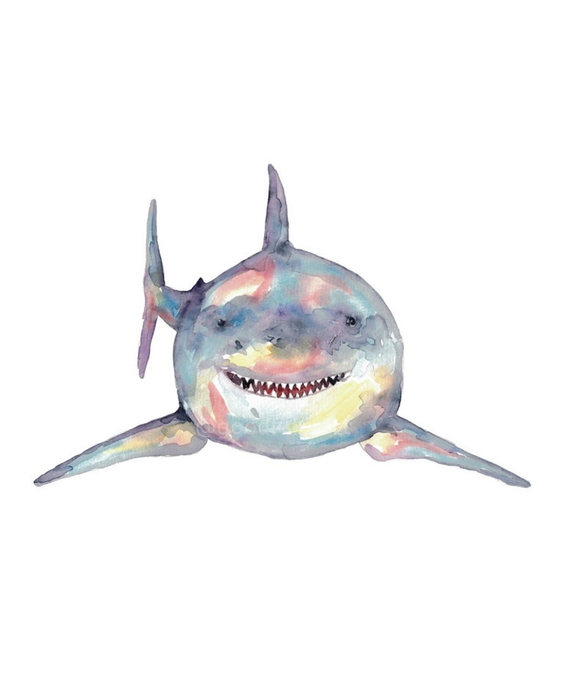 Set of 3 Shark Watercolor Painting Print Art Whale Fish Animal - Etsy