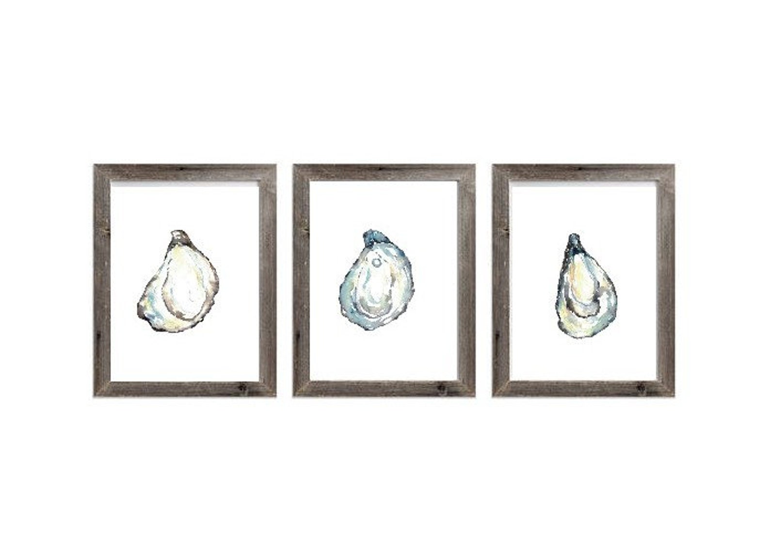 Set of 3 Oyster Pearl Shell Coastal Decor Beach Wall Art Shell - Etsy