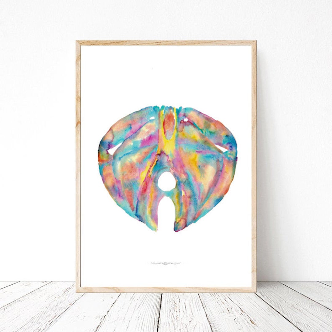 Pelvic Floor Art Print Watercolor Painting Gift Drawing Sketch - Etsy