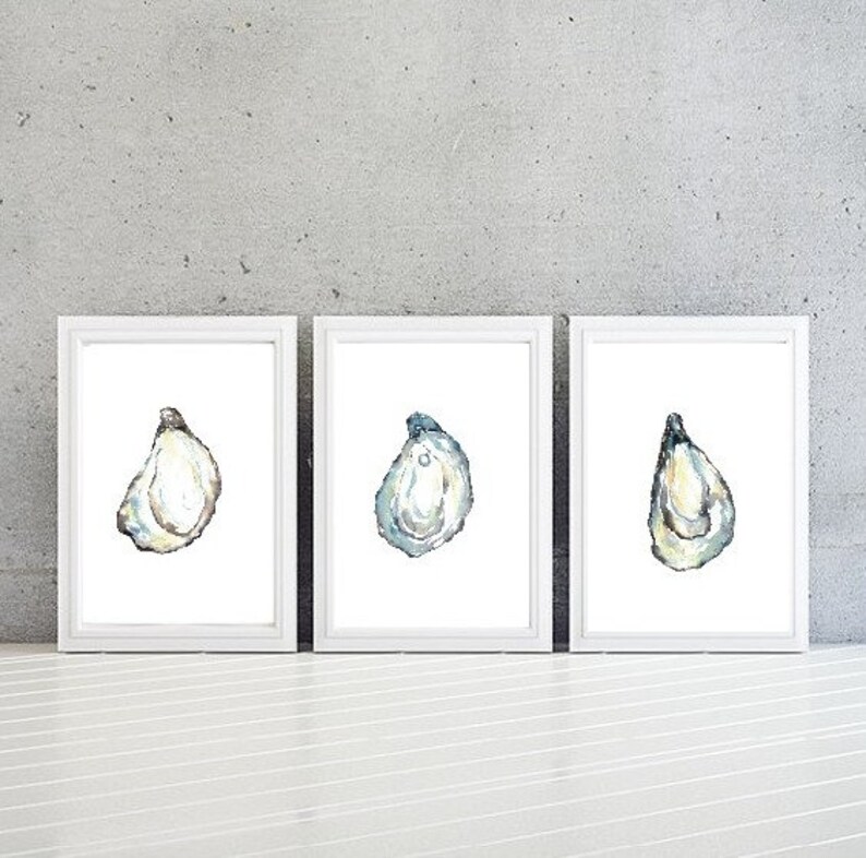 Set of 3 Oyster Pearl Shell Coastal Decor Beach Wall Art Shell - Etsy