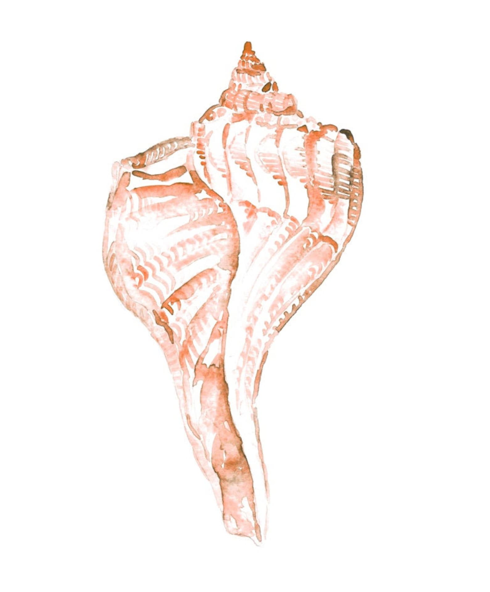 Set of 3 Sea Shell Pink Watercolor Painting Print Art Fish Animal ...