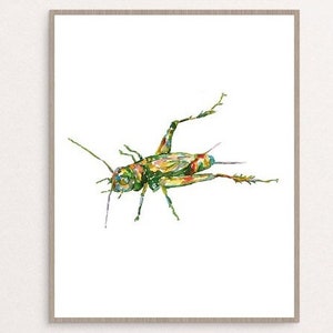 Field Cricket Painting Watercolour Ink Iridescent Green Wall - Etsy