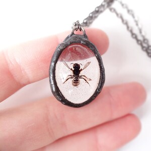 Real Bug Necklace, Insect Preserved, Pendant Necklace, Rustic Jewelry ...