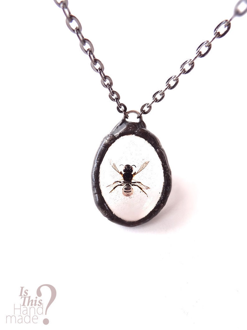 Real Bug Necklace Insect Preserved Pendant Necklace Rustic - Etsy
