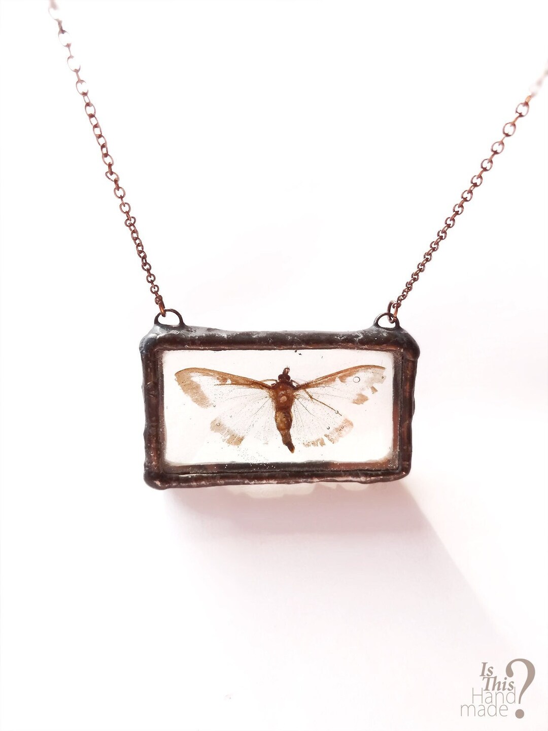 Real Dead Moth Resin Pendant. Butterfly Statement Necklace. Dead Insect ...