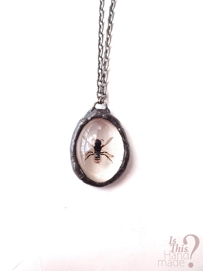 Real Bug Necklace Insect Preserved Pendant Necklace Rustic - Etsy