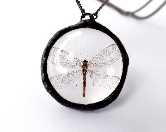 Real Tiny Dragonfly Pendant. Real Insect Round Resin Pendant - Etsy