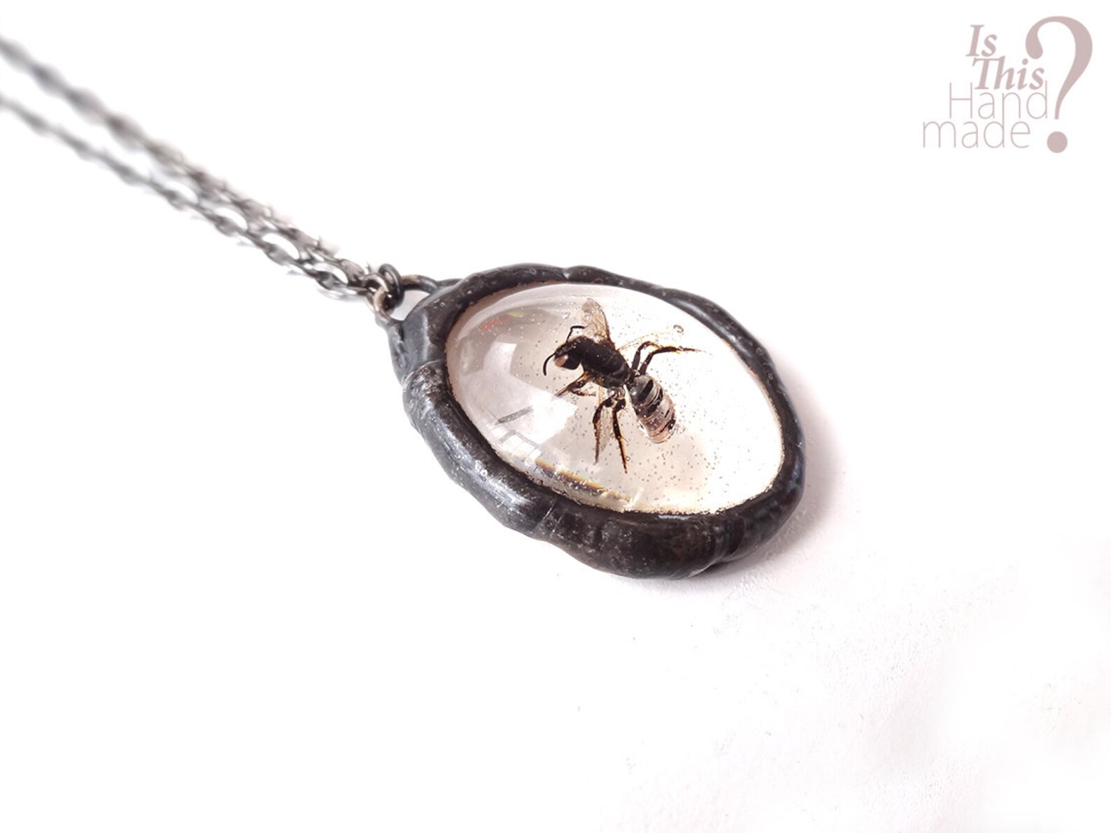 Real Bug Necklace Insect Preserved Pendant Necklace Rustic - Etsy