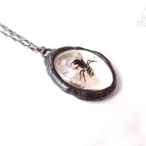 Real Bug Necklace, Insect Preserved, Pendant Necklace, Rustic Jewelry ...