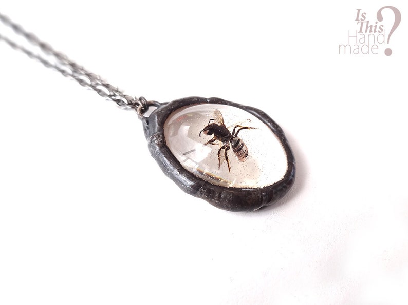 Real Bug Necklace Insect Preserved Pendant Necklace Rustic - Etsy