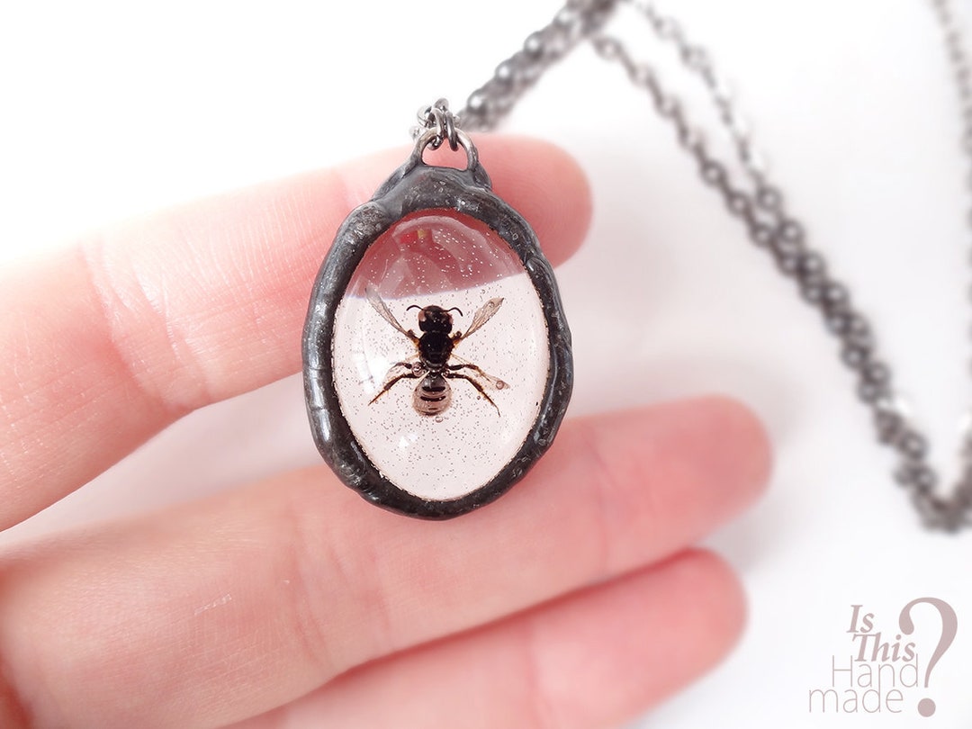 Real Bug Necklace, Insect Preserved, Pendant Necklace, Rustic Jewelry ...