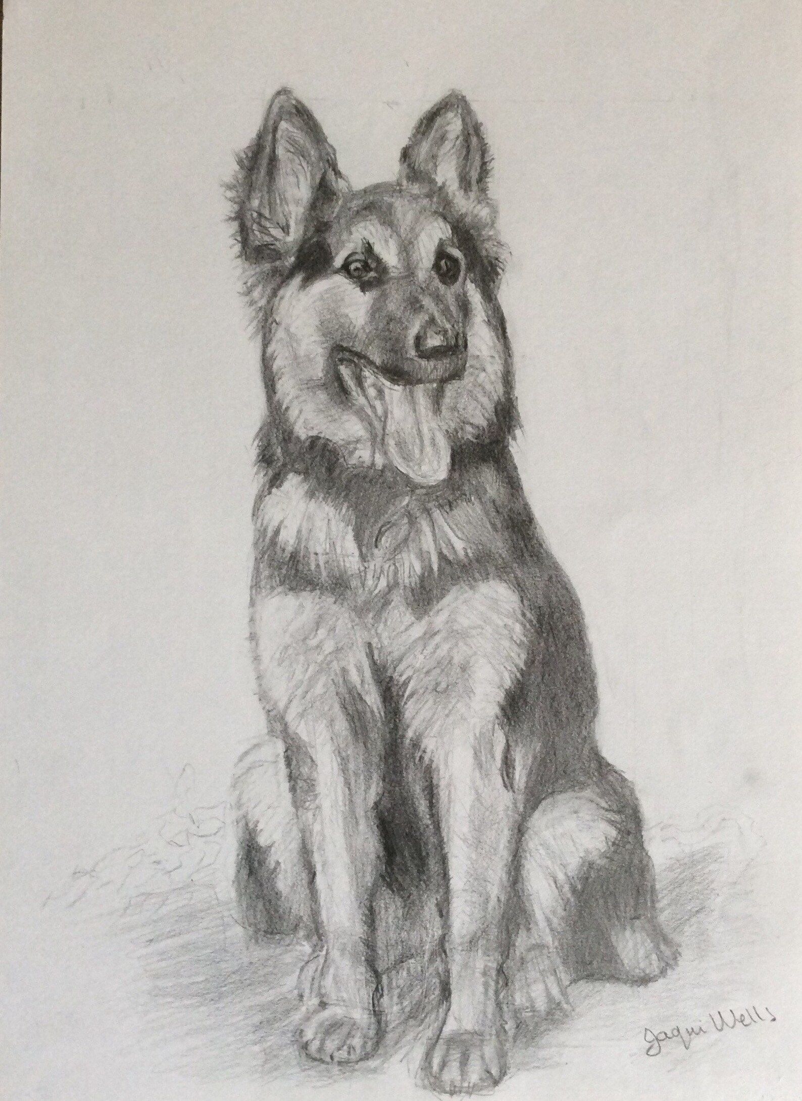 Alsation Dog Greeting Card From My Original Pencil Drawing - Etsy