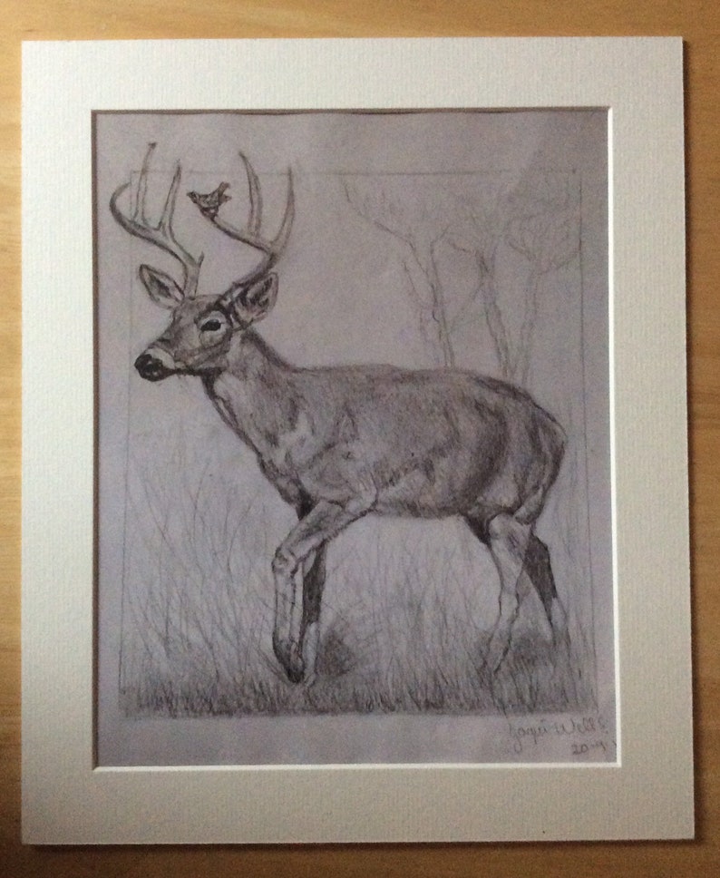 Stag Print From My Original Pencil Drawing - Etsy