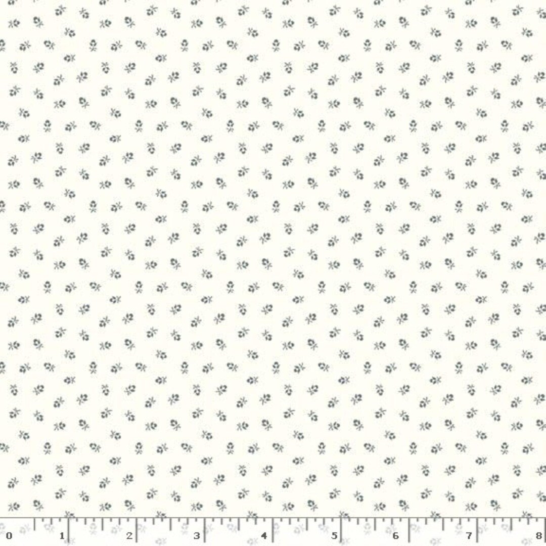 Foundation II by Dolores Smith - Cream Slab on Grade (0359 CREAM) - Etsy
