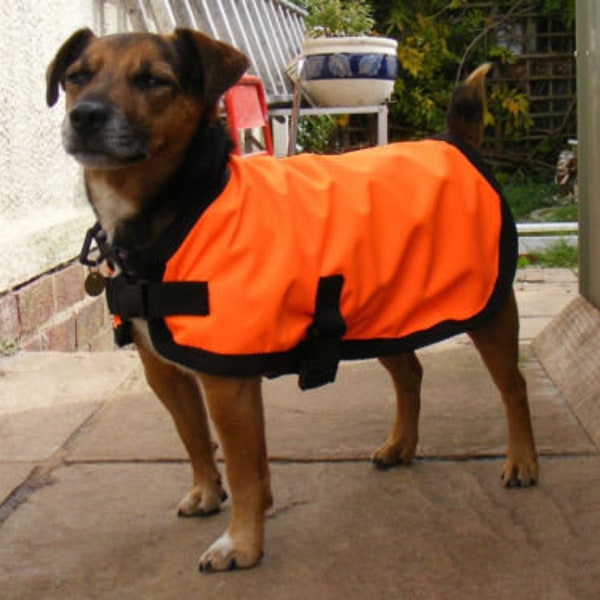 Yellow Dog Coat - Etsy