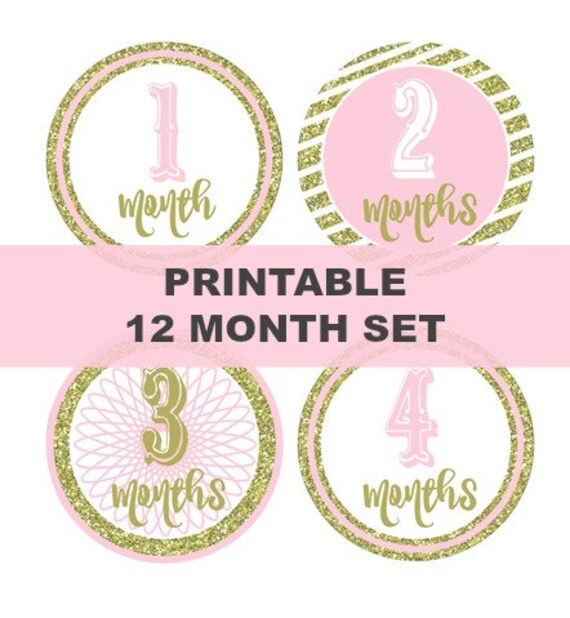 Monthly Baby Stickers Milestone pink and gold Month to month Baby Girl ...