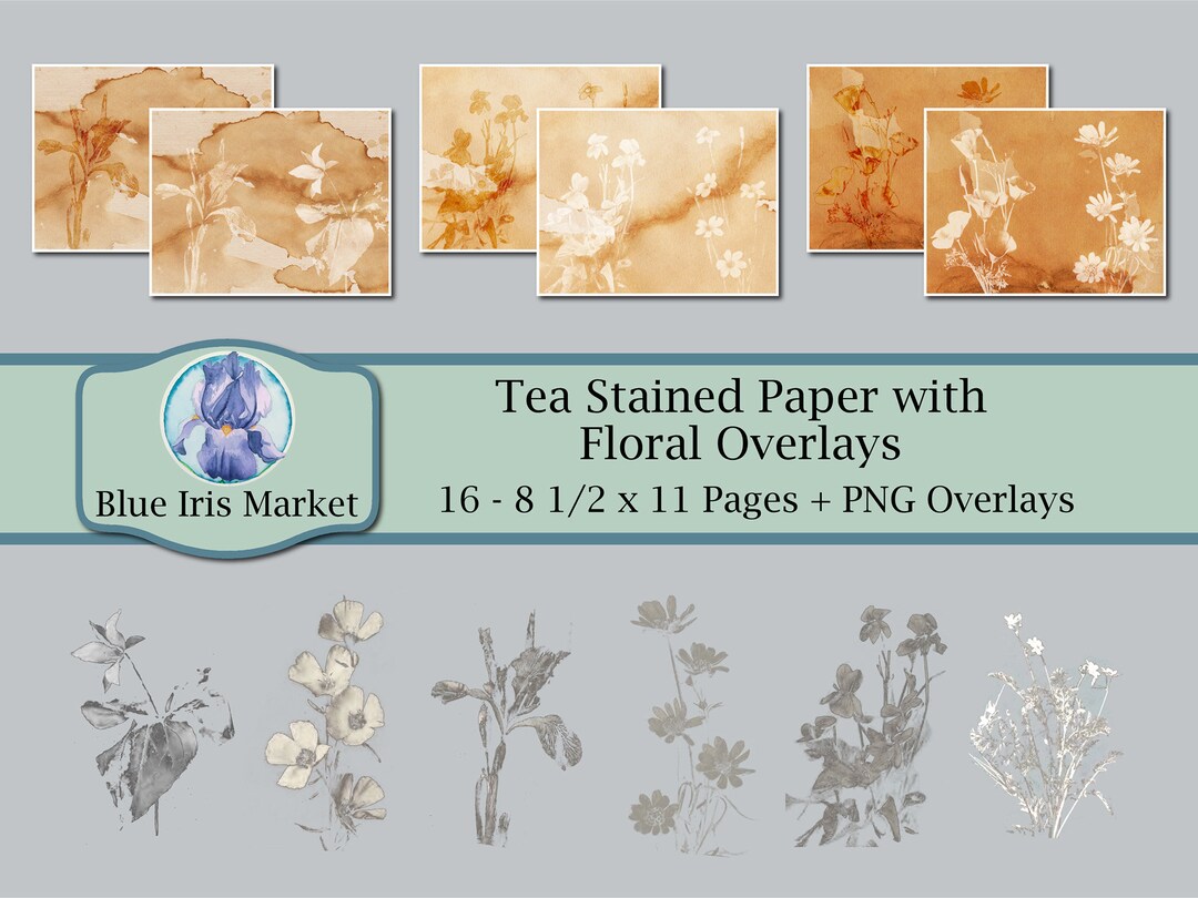 Tea Stained Paper With Floral Overlays; 8 1/2 X 11 Letter Size; Digital ...