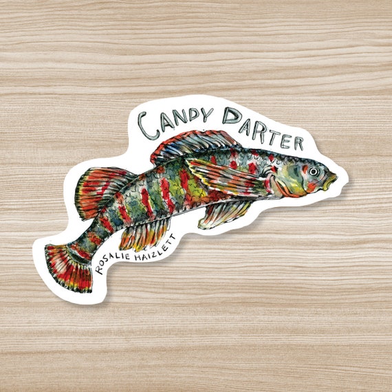 Candy Darter Sticker Waterproof Vinyl | Etsy