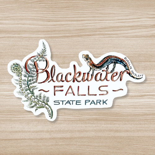 Blackwater Falls State Park Waterproof Sticker | Etsy