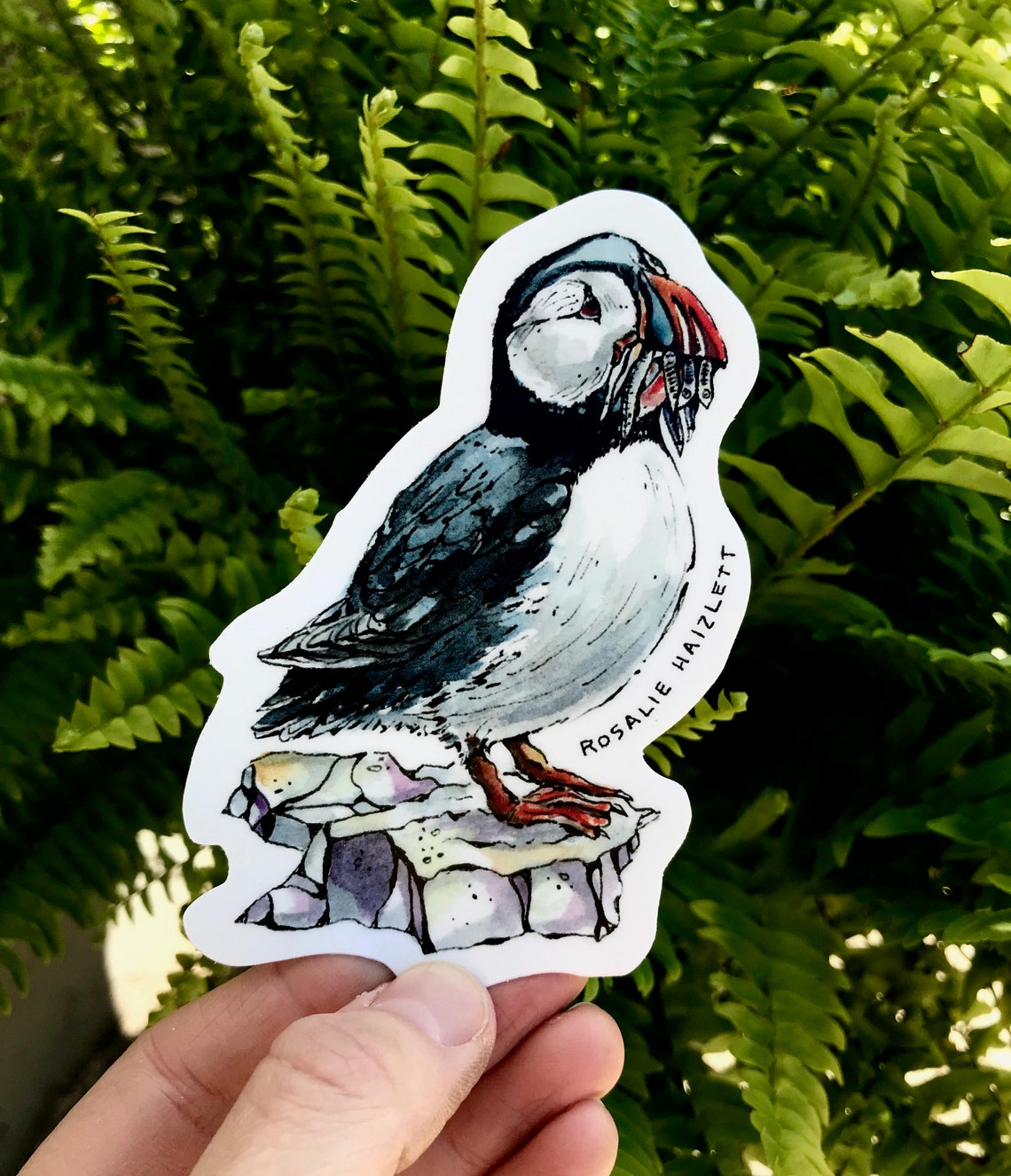 Atlantic Puffin Sticker - Waterproof, Vinyl - Etsy