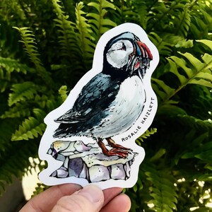 Atlantic Puffin Sticker - Waterproof, Vinyl - Etsy