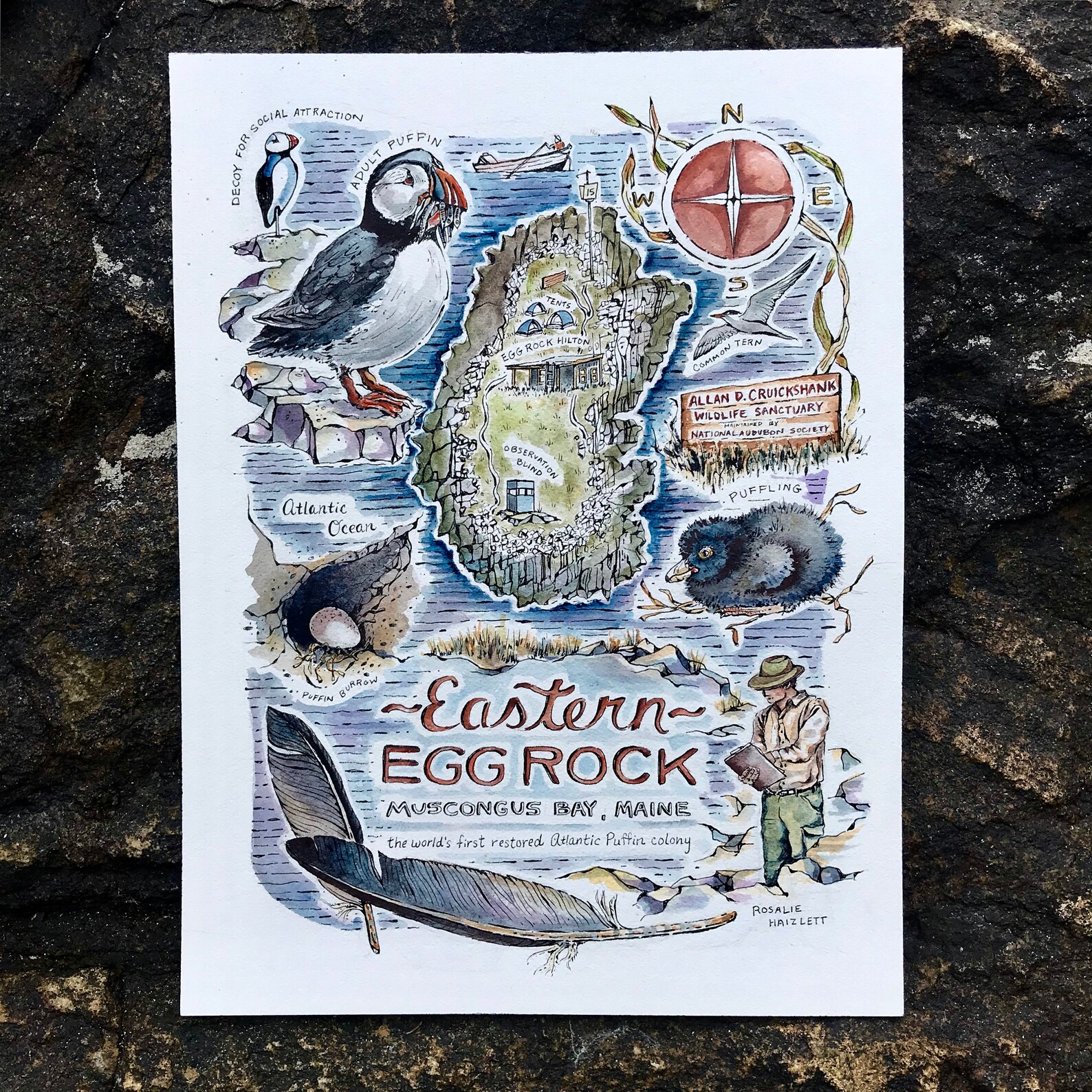 Eastern Egg Rock Maine Illustrated Map | Etsy