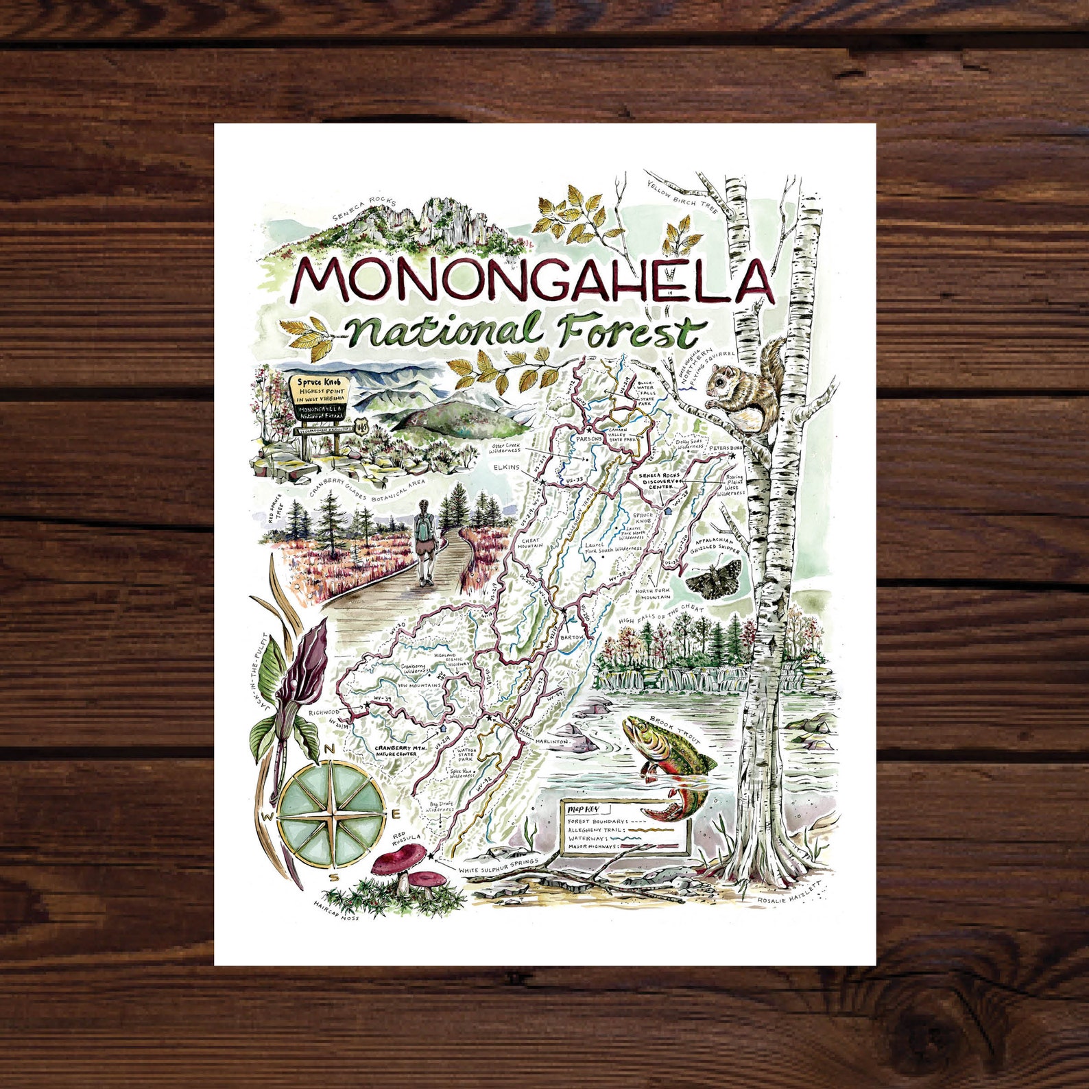 Monongahela National Forest Watercolor Illustrated Map - West Virginia ...