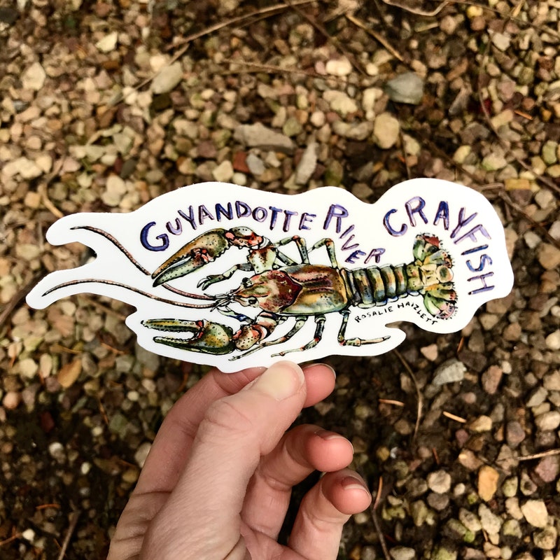 Crayfish - Etsy