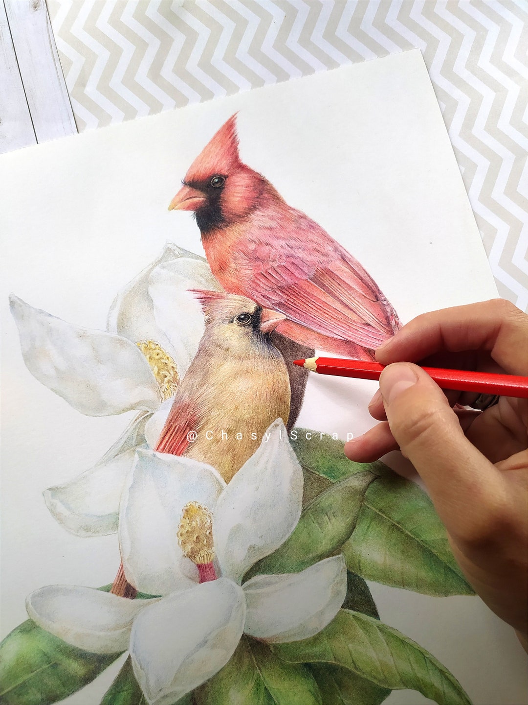 Northern Cardinal Original Artwork Red Bird Art Northern - Etsy