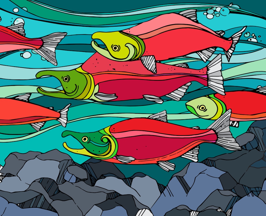 Red Run Salmon Art Print Fish Art Salmon Print Sockeye Salmon Painting ...