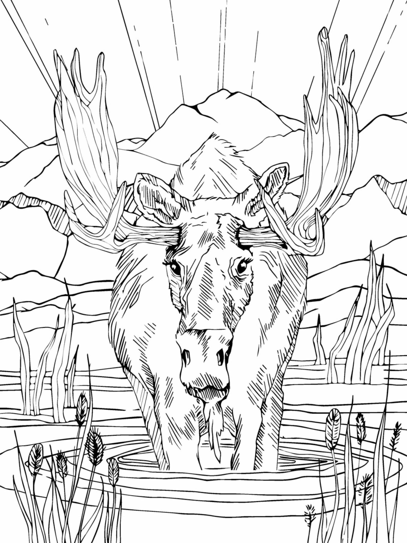 Adult Coloring Book Color Book Alaska Art Detailed - Etsy