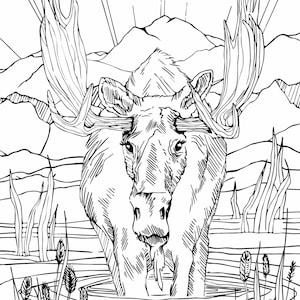 Adult Coloring Book Color Book Alaska Art Detailed Illustration ...