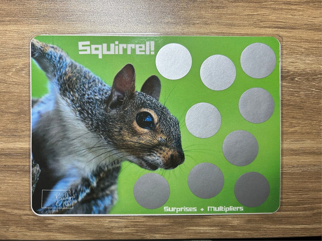 SQUIRREL Scratch off Savings Challenge - Etsy