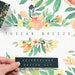 Watercolor Flower Clipart Set: Peach Floral Wreath, Wedding Invitation ...