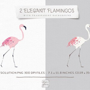 Flamingos Mini Collection: A Pretty Flamingo Collection With Backgrounds, Papers and Patterns ...