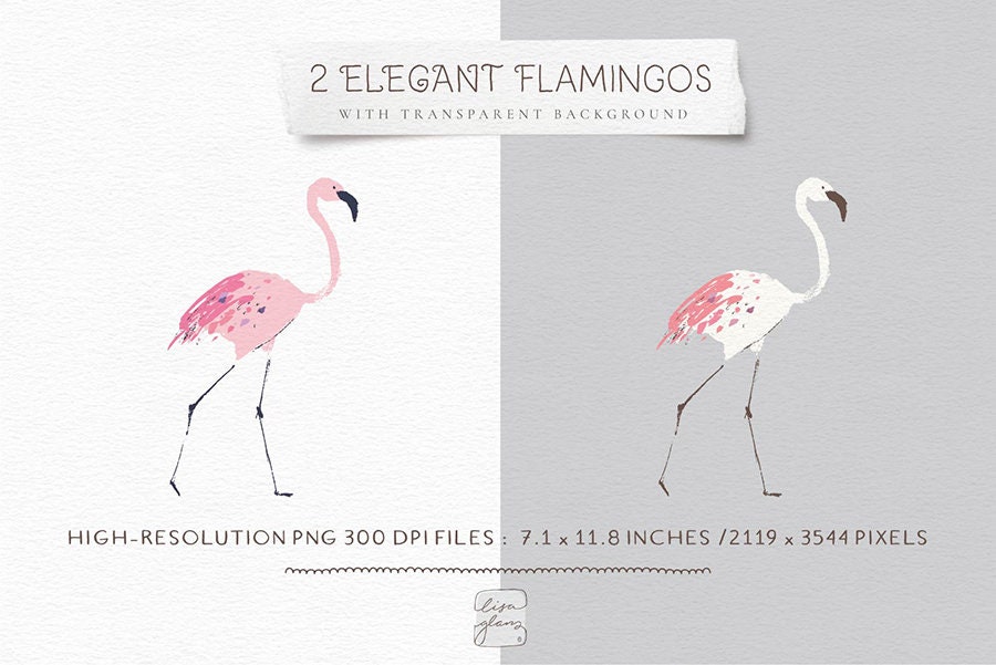 Flamingos Mini Collection: A Pretty Flamingo Collection With | Etsy
