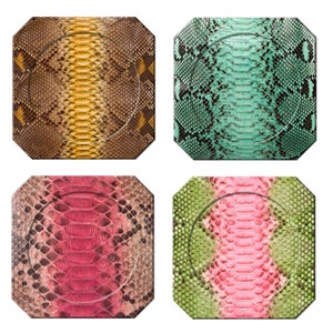 Faux Python Snake Coasters Leather Recessed Tactile Basket - Etsy