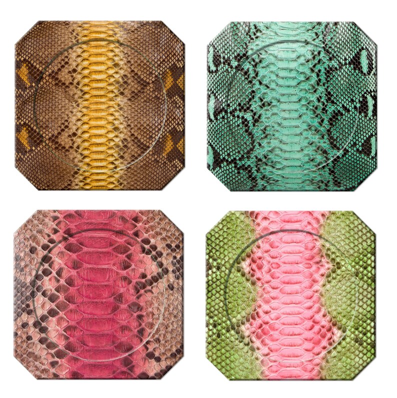 Faux Python Snake Coasters Leather Recessed Tactile Basket - Etsy