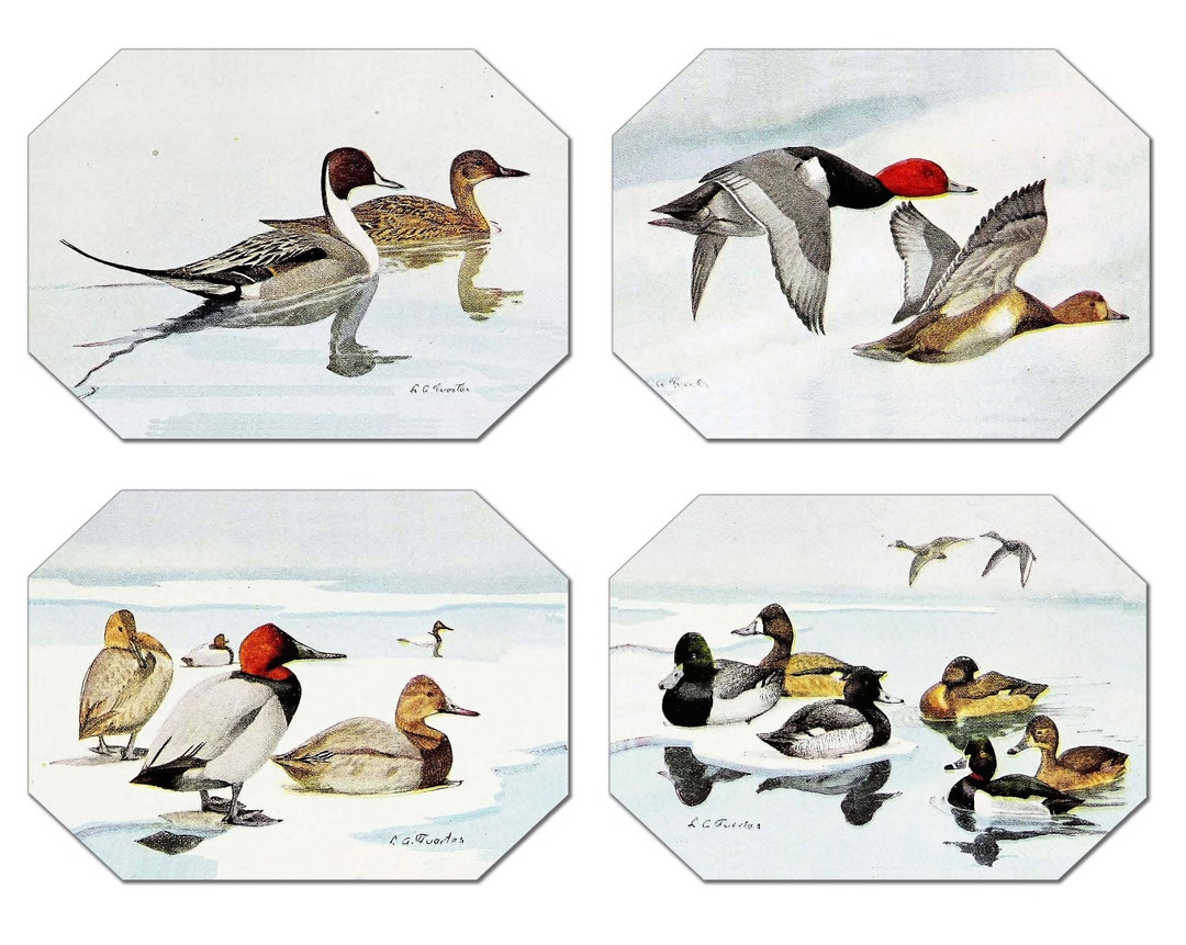 Duck Placemats Vintage Illustration Tactile Basket Texture Turned Hem ...
